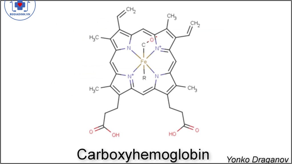CARBOXYHEMOGLOBIN (COHb hay HbCO) – Bác sĩ gia đình TP.HCM